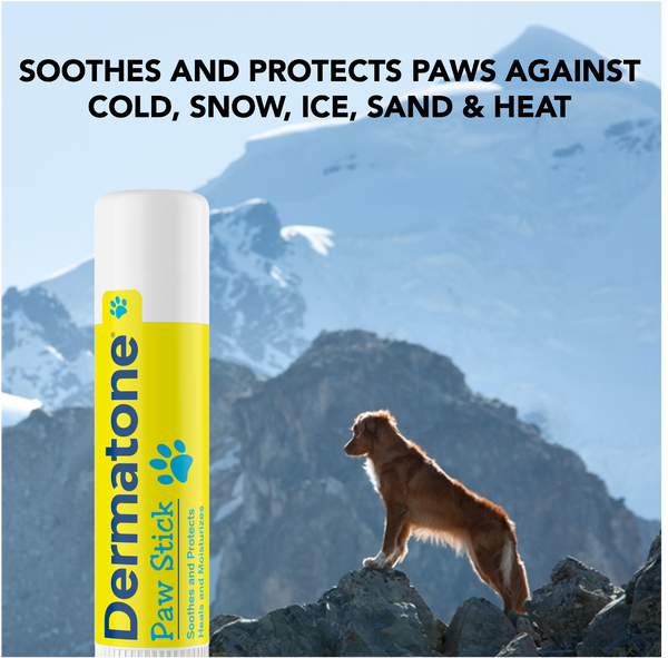 Pet Paw Protection Stick (Hands-Free Stick) - Dermatone